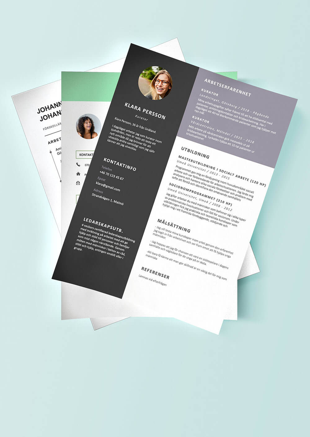 CV mallar Exempel Ladda Ner Gratis H r CV mall
